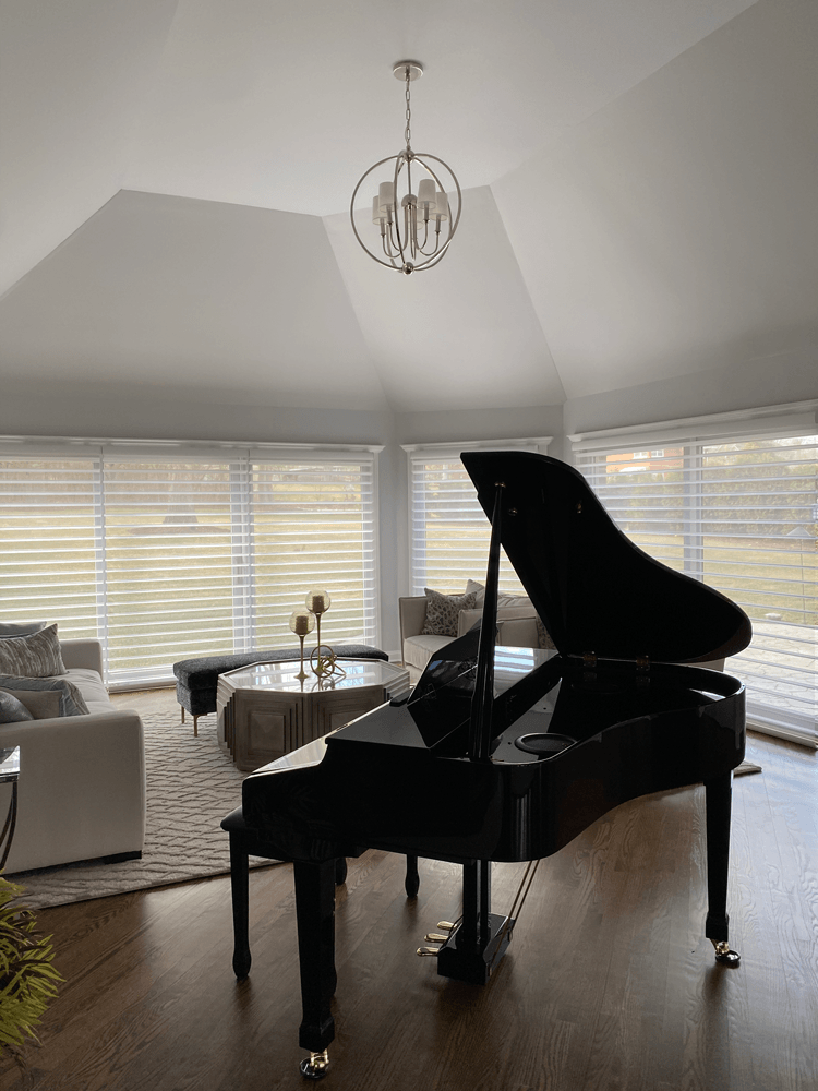 Motorized Silhouette ClearView Project for Wheaton Home