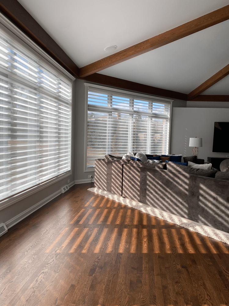 Motorized Silhouette ClearView Project for Wheaton Home